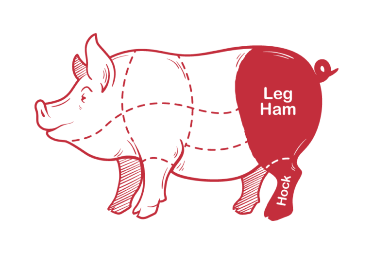 Main cuts Pork - Explore US Pork cuts